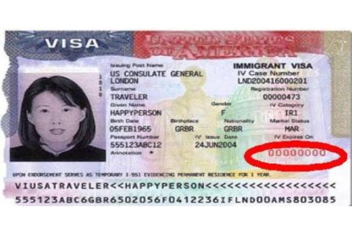 immigration visa control number