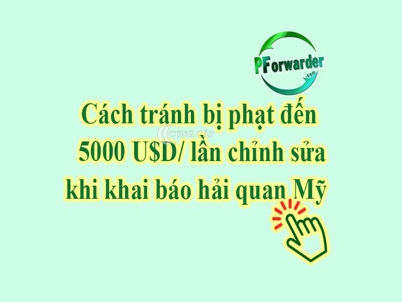 Dịch vụ khai báo hải quan Mỹ trọn gói chuyên nghiệp của PForwarder