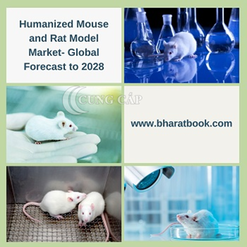Global Humanized Mouse and Rat Model Market, Forecast & Opportunities, 2028